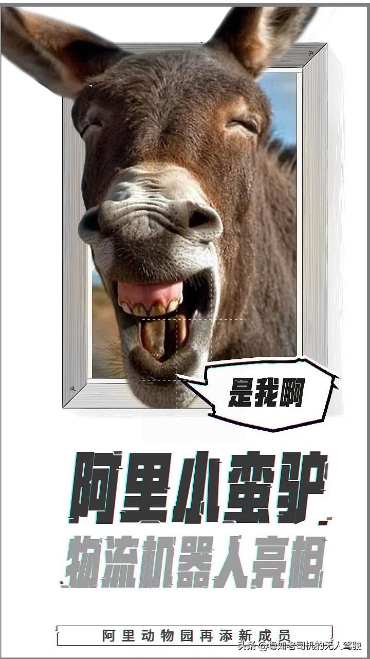 How to look at it: This year's Double Eleven unmanned delivery vehicle ...