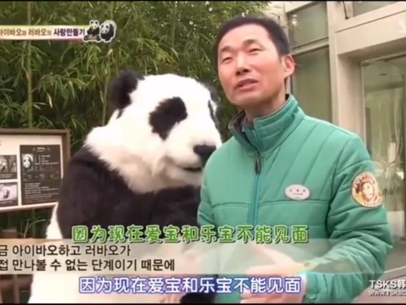 Aibao Lebao Blind Date - iNEWS