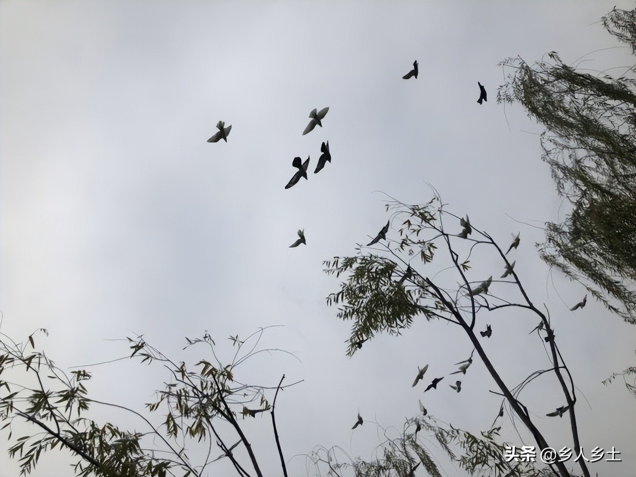 Tomb-sweeping Day is coming, when will you go to the grave?As the old ...