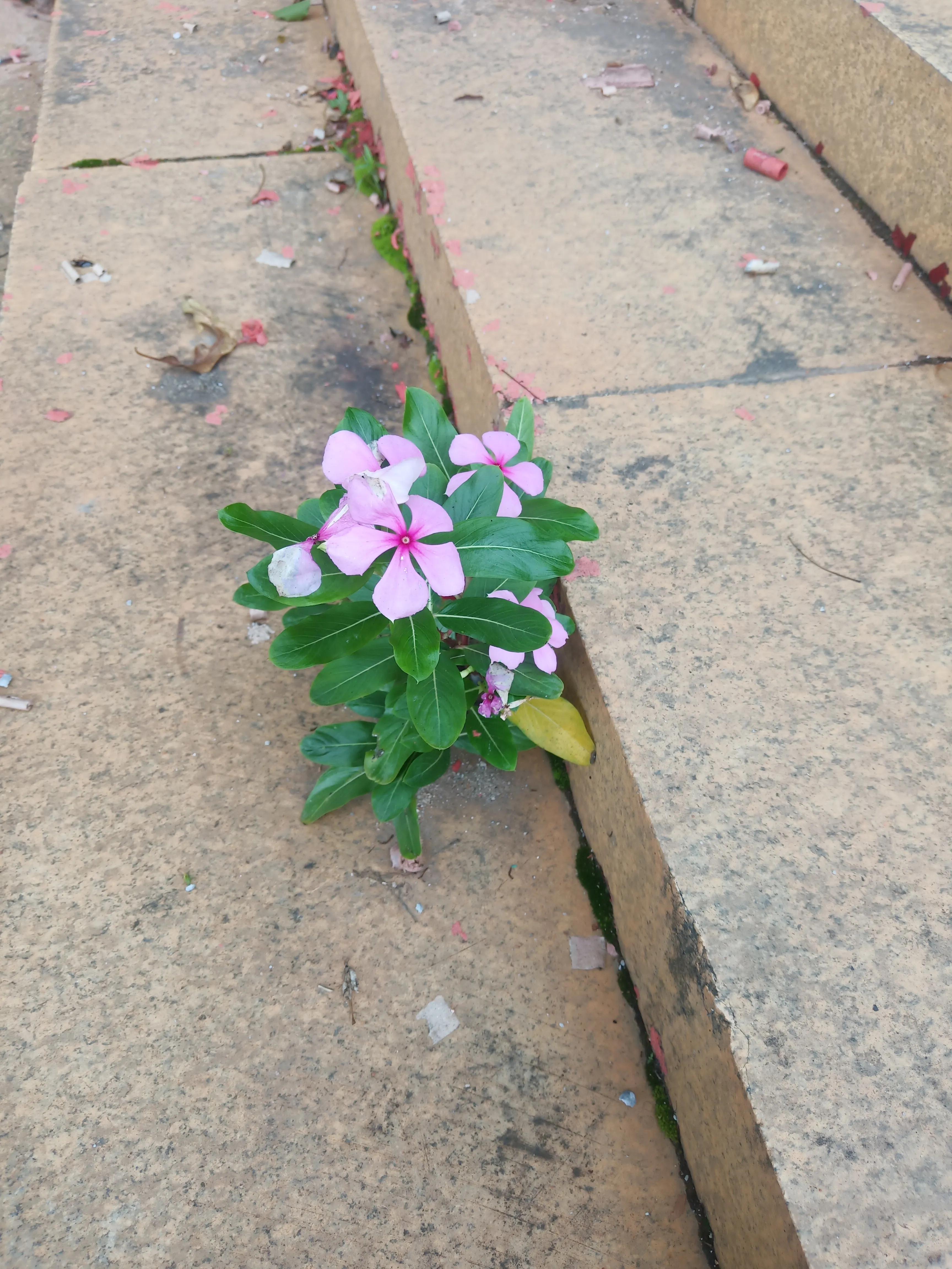 Poetry (outside five) - iNEWS