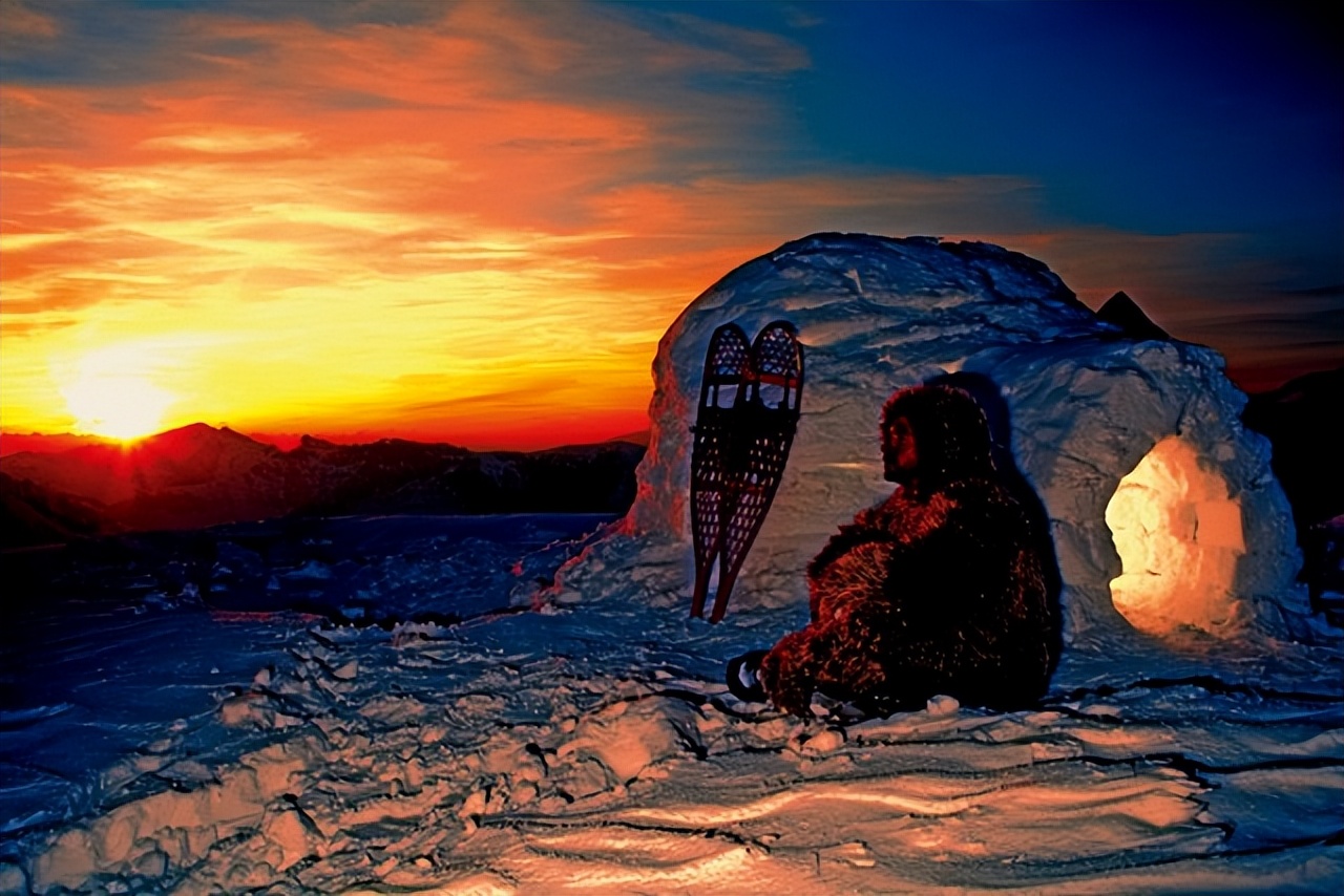 Why do Inuit live in igloos in the Arctic? Their way of life is amazing ...