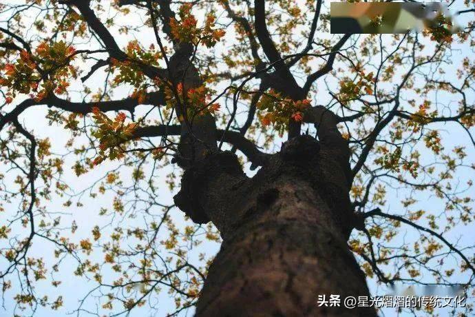 The Theory of Relativity in "Zhuangzi" (1) - iNEWS