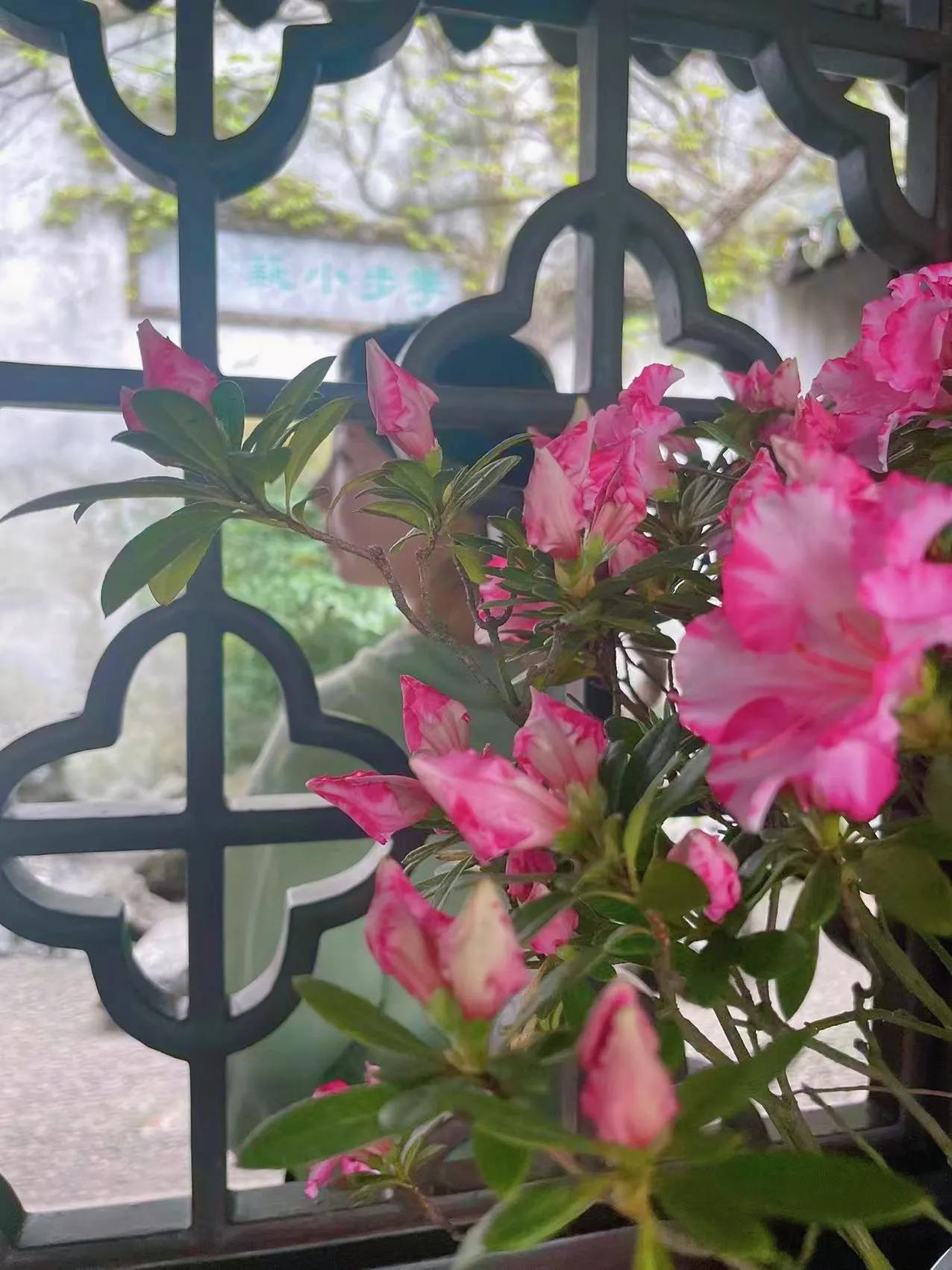 Lingering Garden - iNEWS