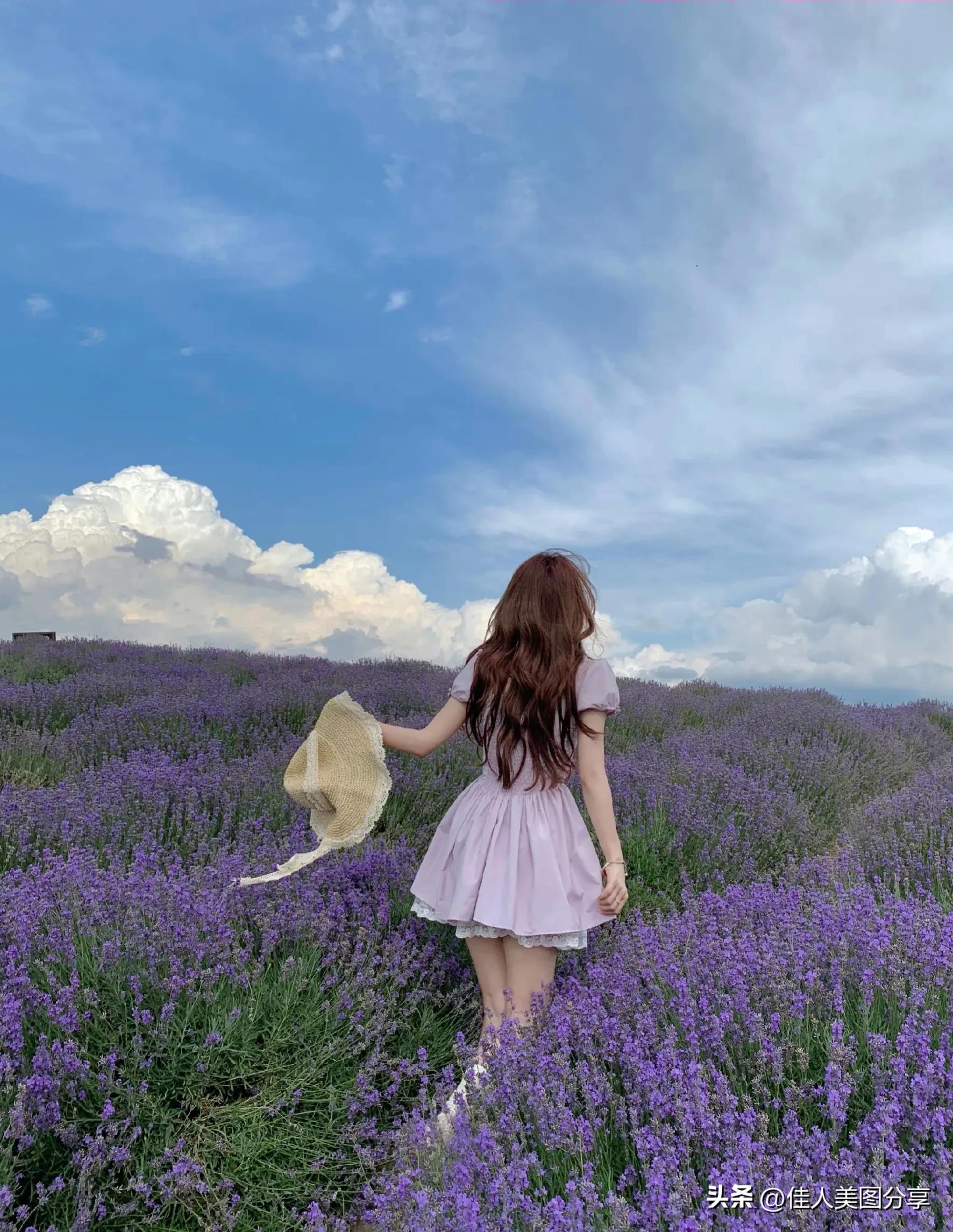 Purple romance, the sea of lavender flowers in the dream, here I come ...