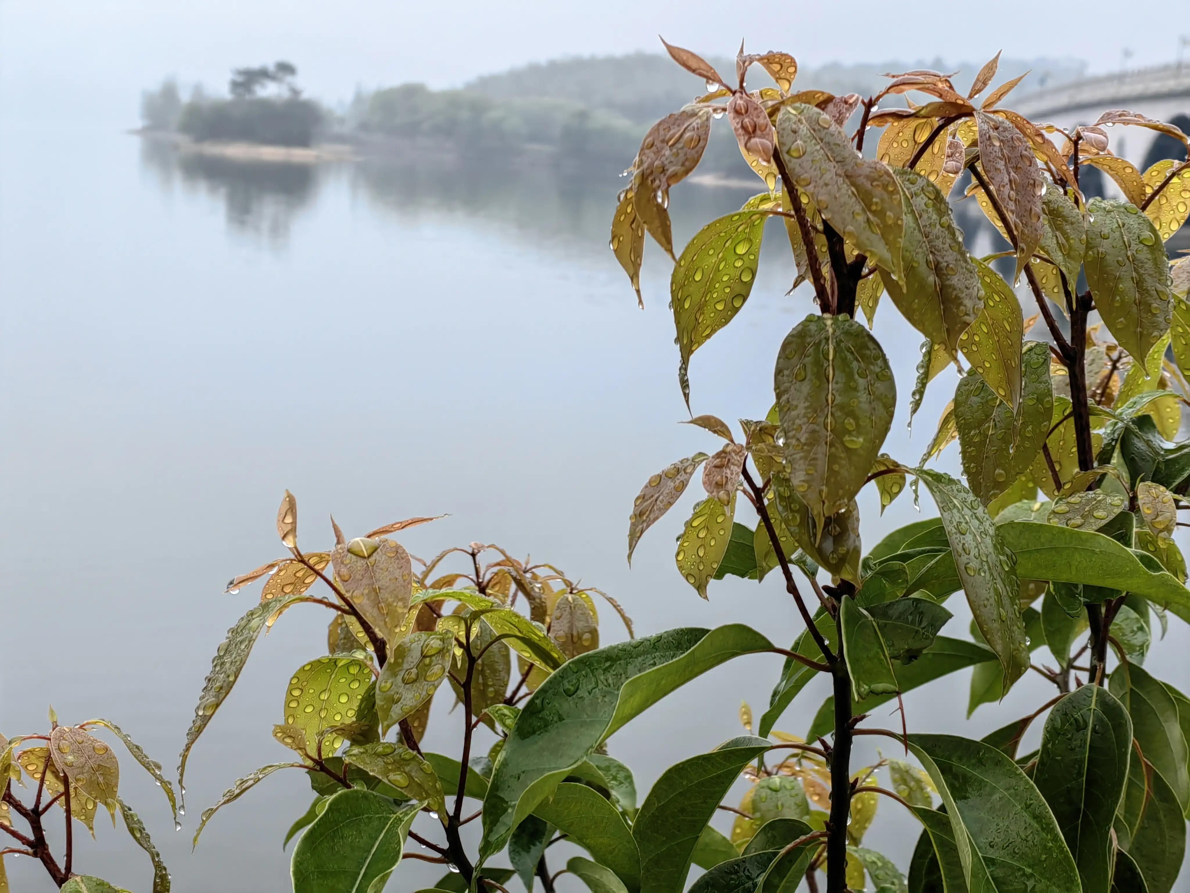 Siming Lake and Siming Villa - iNEWS