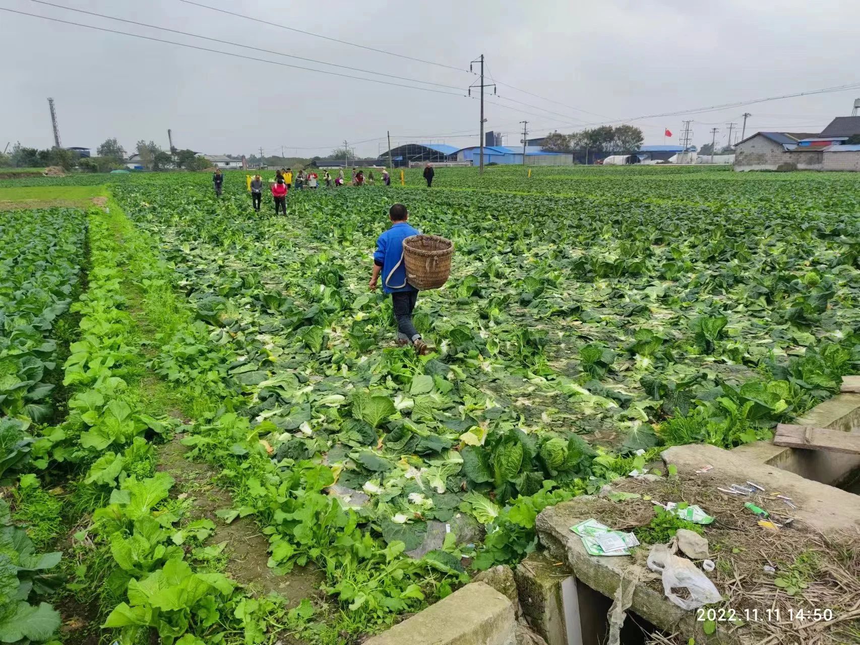 "Kyushu Literature" Chen Yuan Style - iNEWS