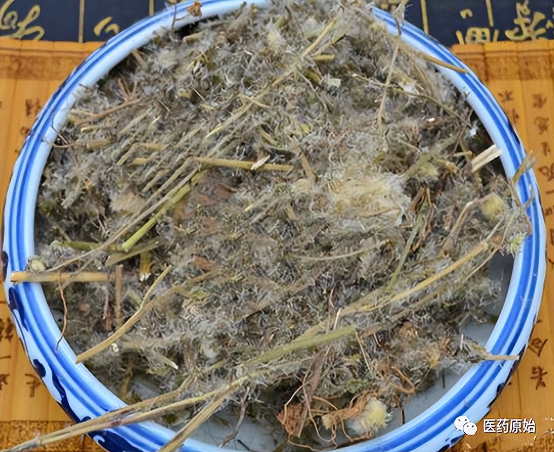 Take you to identify golden gentian - iMedia