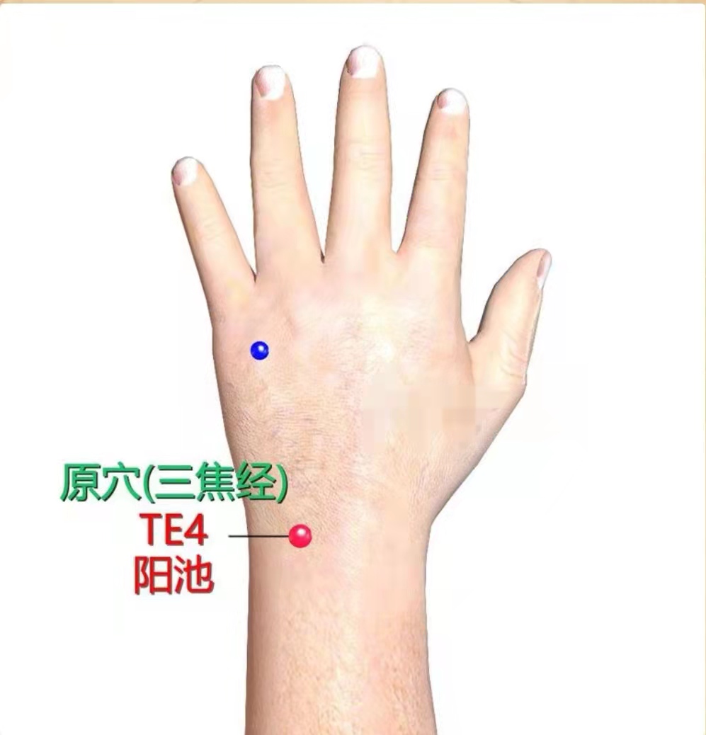 TCM acupoint tips: girls often press Yangchi acupoint to drive away the ...