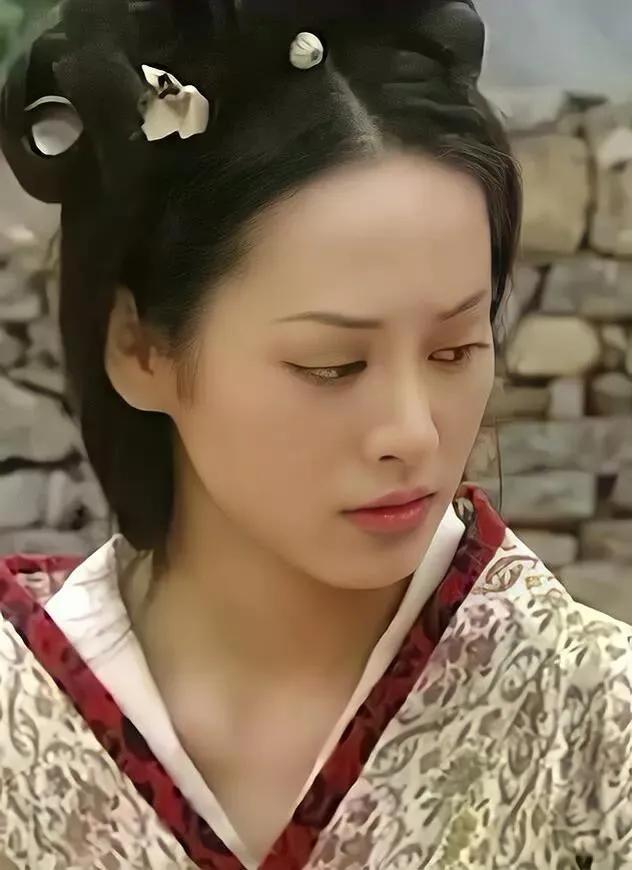 The Empress Dowager Zhao, who is defined by history as lewd, is ...