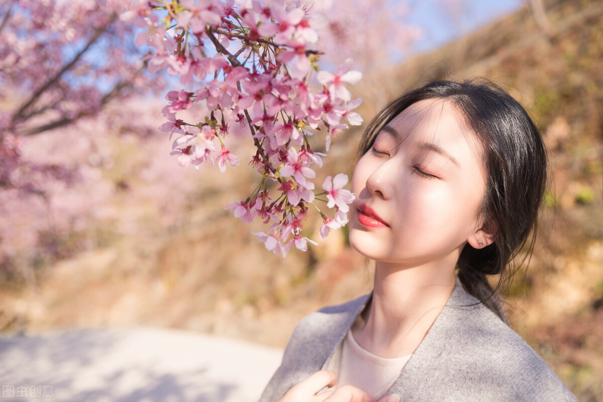 Spring cherry blossoms in March!3 Sakura Poems, Enjoy Poetic Spring ...