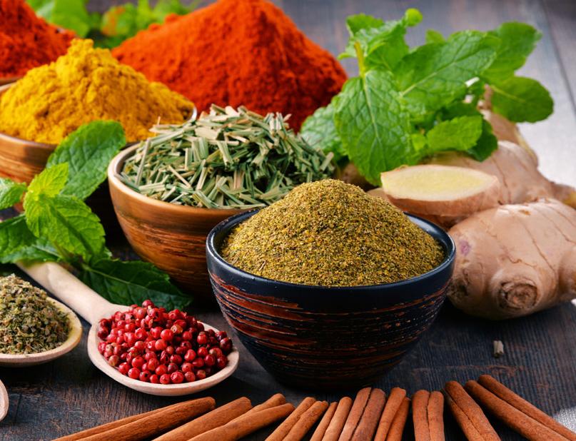 Dried ginger, fresh ginger, galangal, and sand ginger in brine spices ...