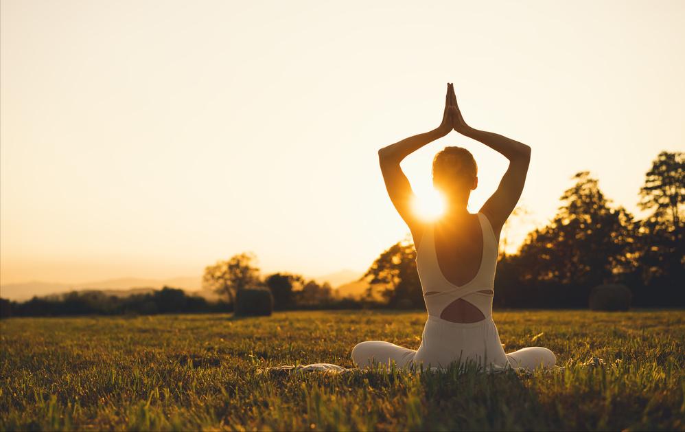 Use Zen, experience Zen, and live a life like a flower - iNEWS