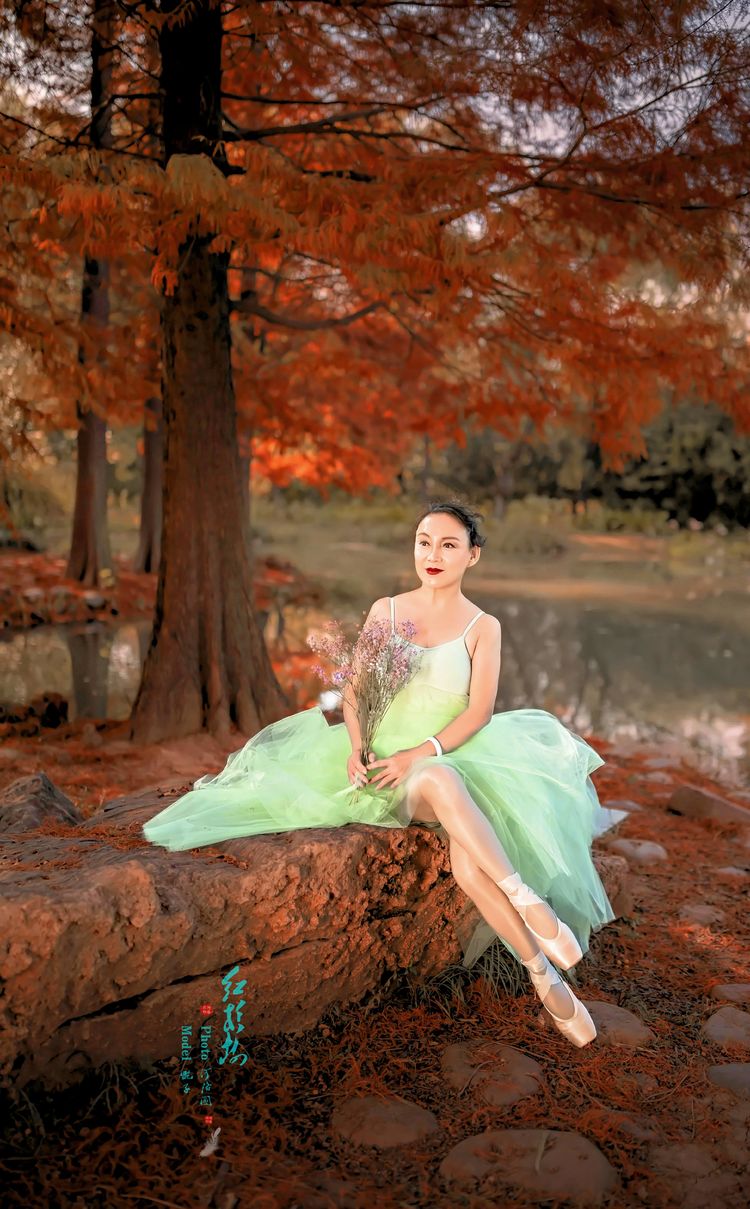 Portrait Photography: Sequoia Tree - iNEWS