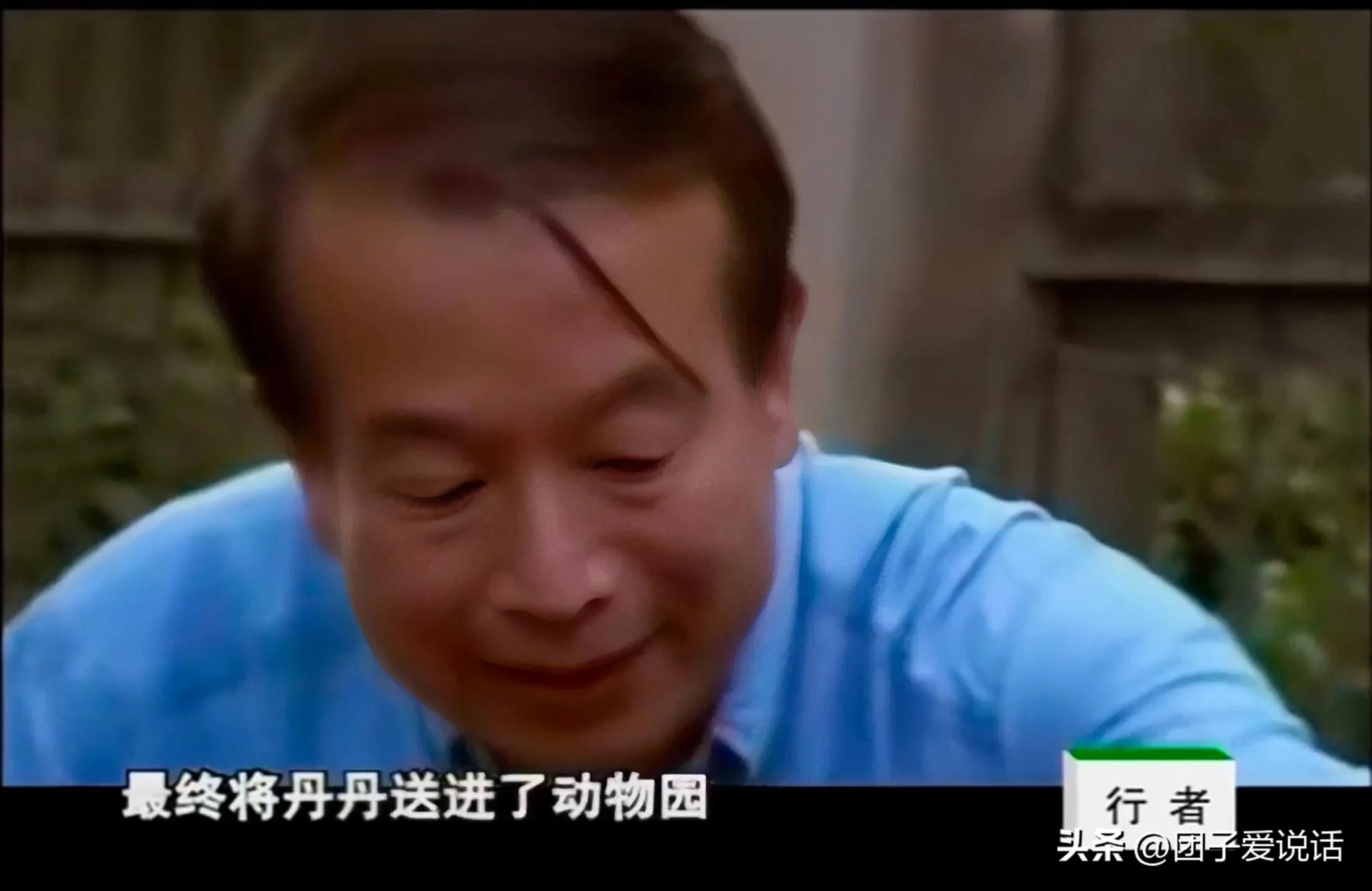 The world's first discovered brown and white giant panda "Dandan" and ...