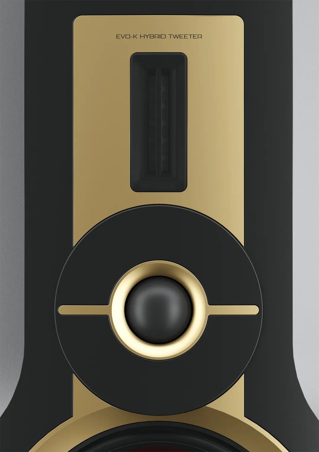 In the name of the king, a new voice is called - Dani's latest flagship ...