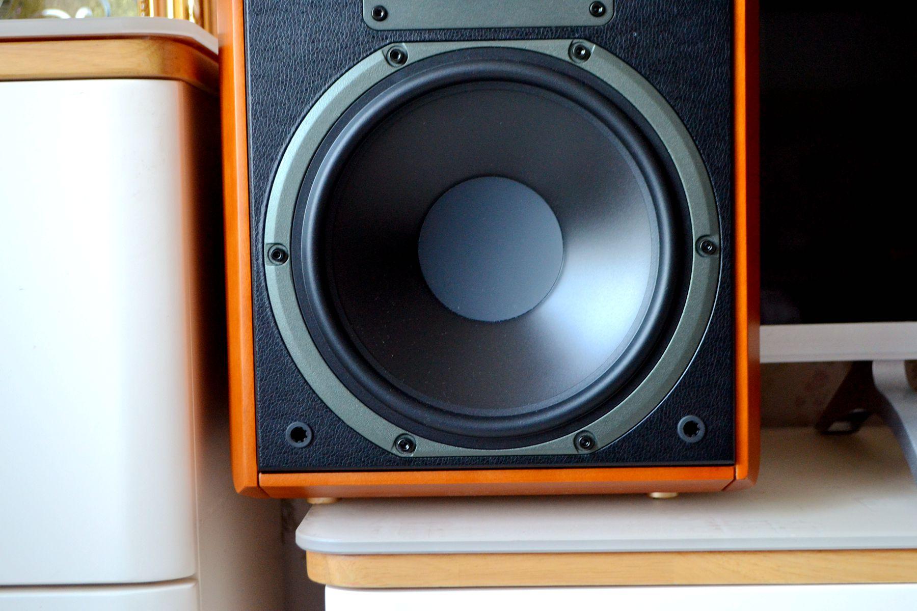 The peak fusion of taste and technology: Swans M5A speaker - iNEWS