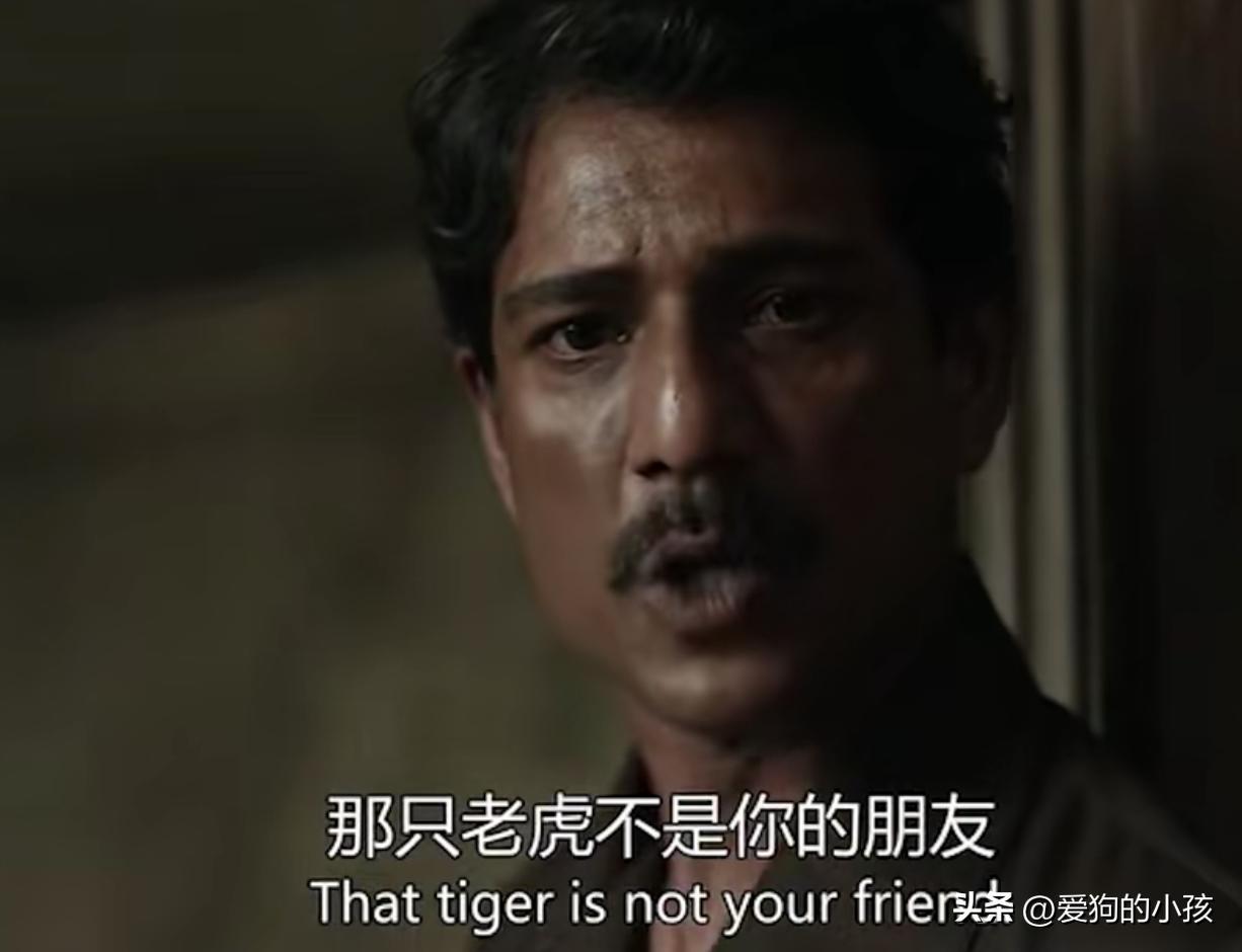 Revisiting [Fantasy Drifting of Youth Pi] again, and then I understand ...