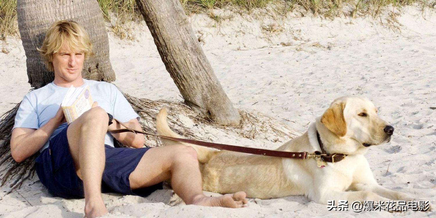 10 Sad Dog Movies That Will Make You Want to Hug Your Dog - iMedia