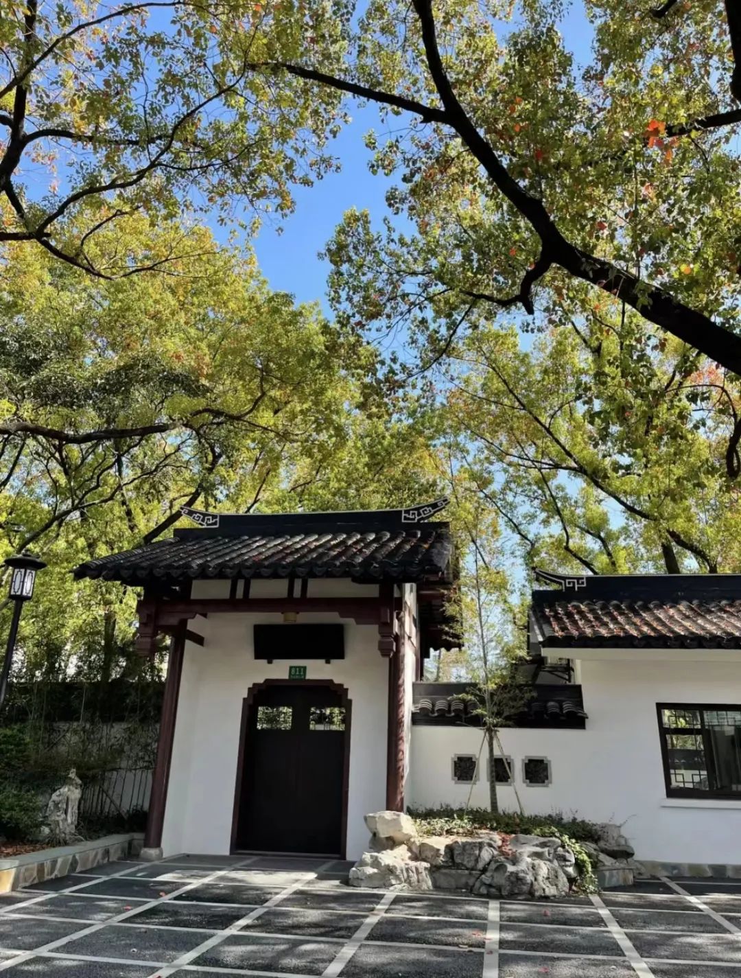 Beauty becomes poetry! The "early summer green" on the streets of Xuhui ...
