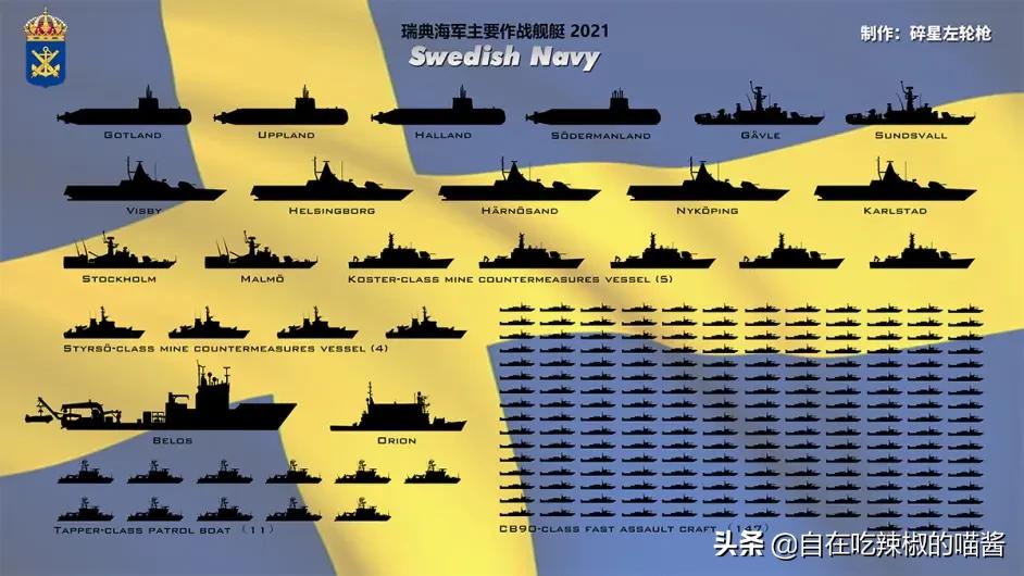 Small country navy history-the Swedish navy - iNEWS