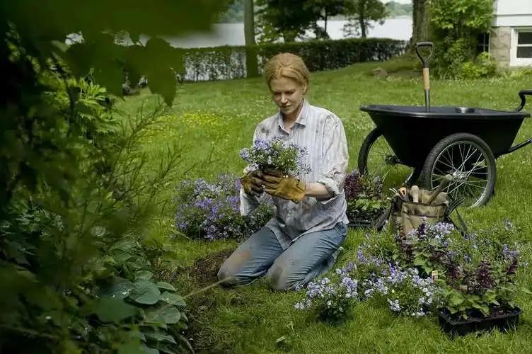 "Rabbit Hole": Artistic Expression of Emotional Struggle and ...