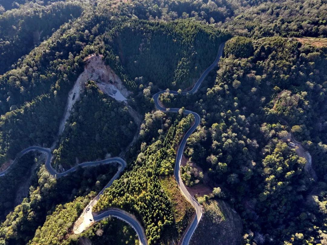 Why is Gaoligong Mountain so charming? - iNEWS