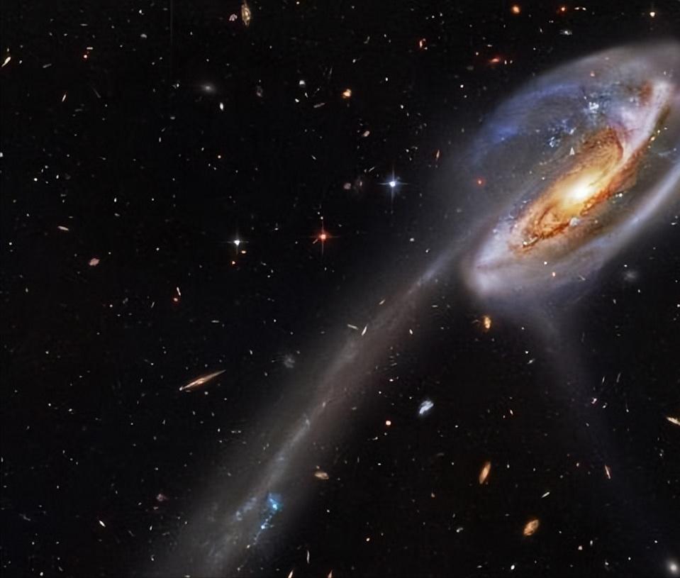 Formation and Evolution of Galaxy Clusters - iNEWS