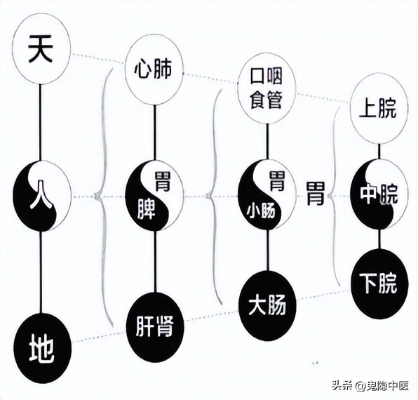 Chapter Fourteen Tai Yin Yang Ming Diseases - iMedia
