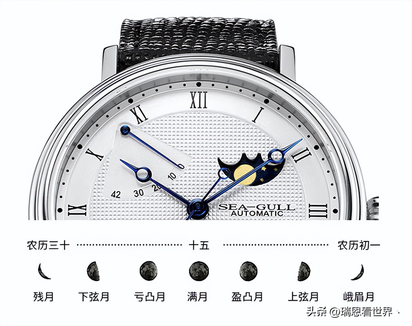 [Series] Appreciation of 7 "Moon Phase" style watches of different ...