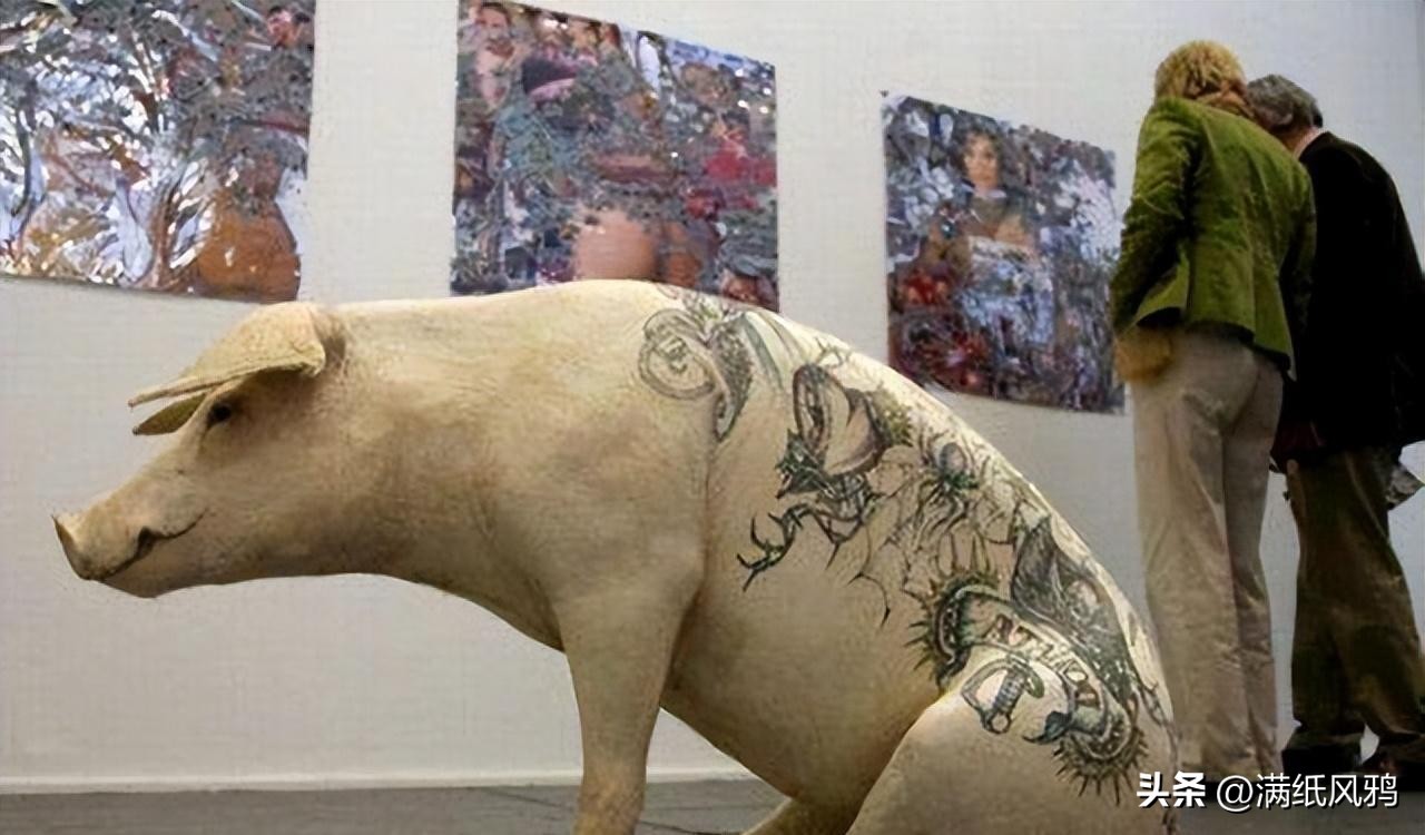 In 1997, a man tattooed a live pig and sold the pig skin to Chanel ...