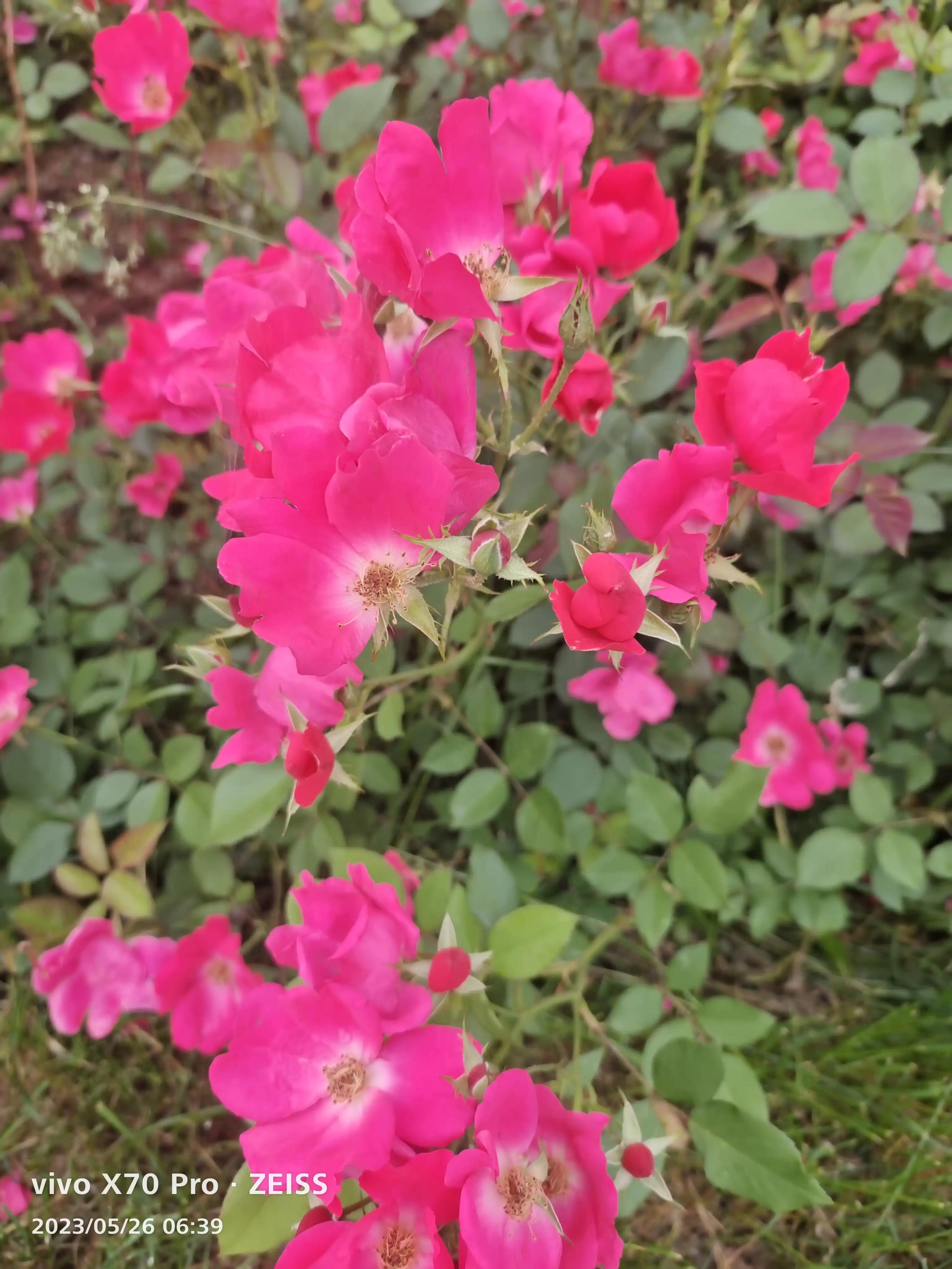 People with good character must understand these 9 sentences - iMedia