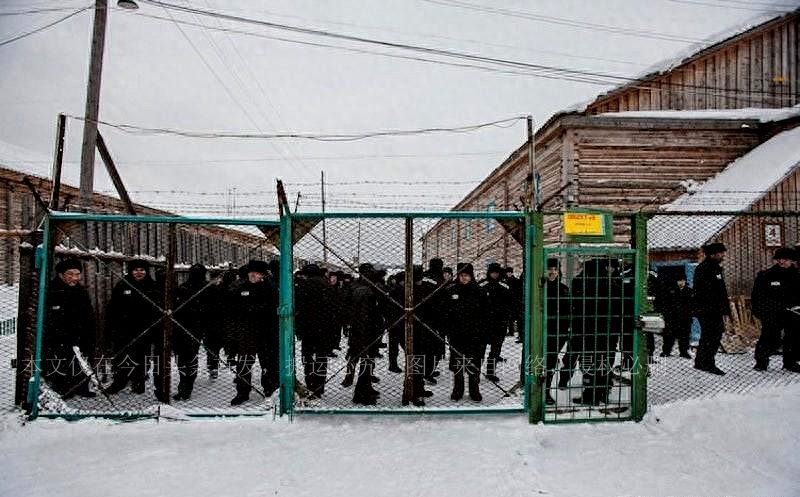 Russia's Owl Prison: A permafrost built at the end of the world, where ...