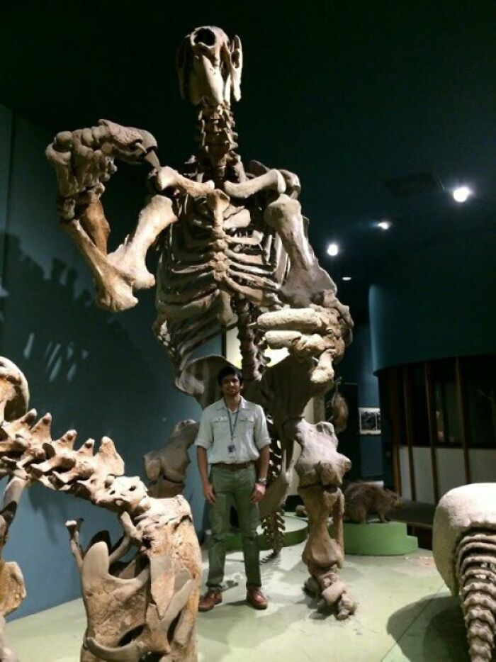 30 photos that haven't been seen for a long time, dinosaur tails in ...