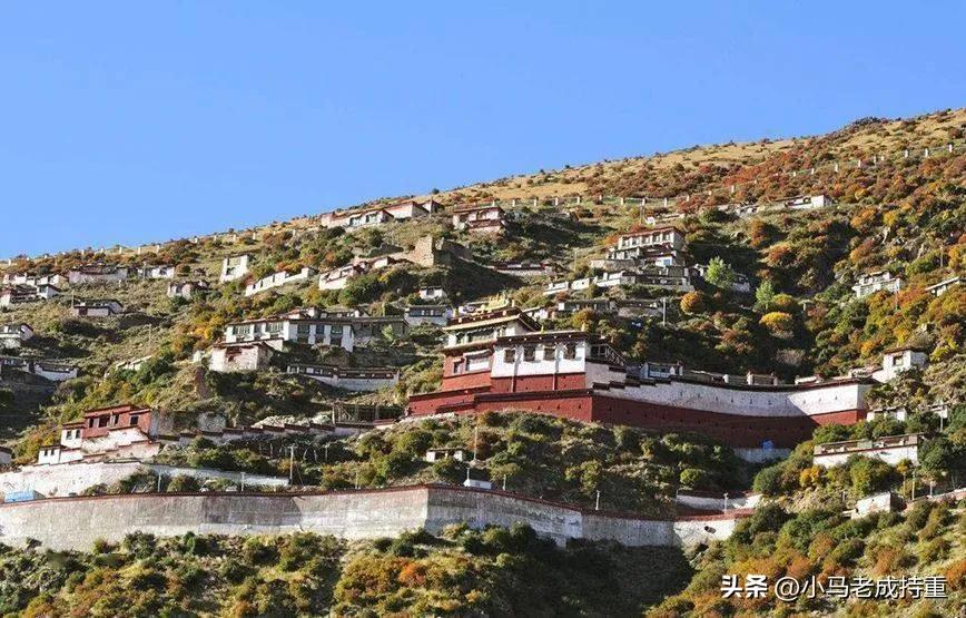 How many branches does the Kagyu sect of Tibetan Buddhism have? - iNEWS