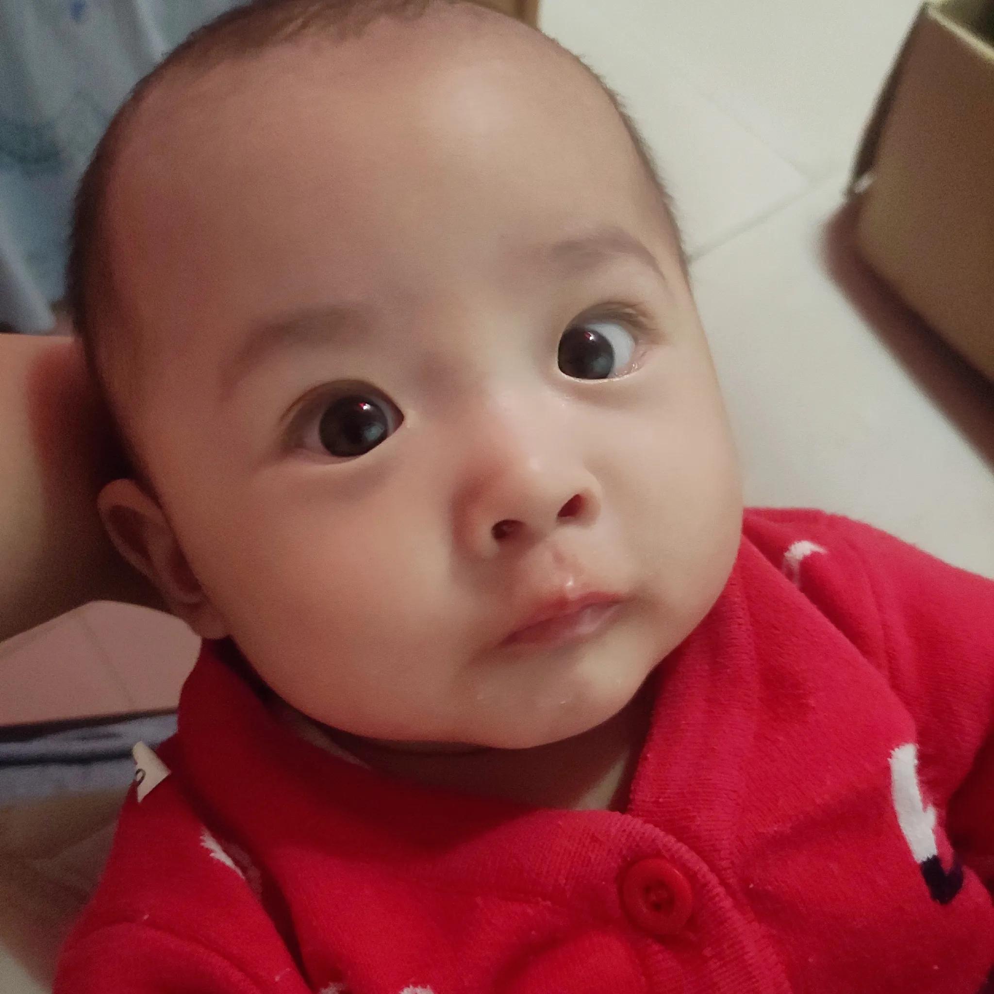 Little An'an is still cute and cute, growing up every day! What new ...