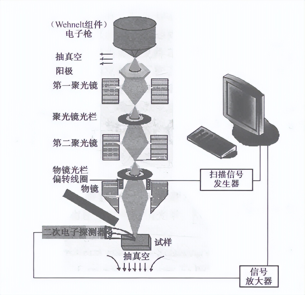 The principle of desktop scanning electron microscope you want to know ...