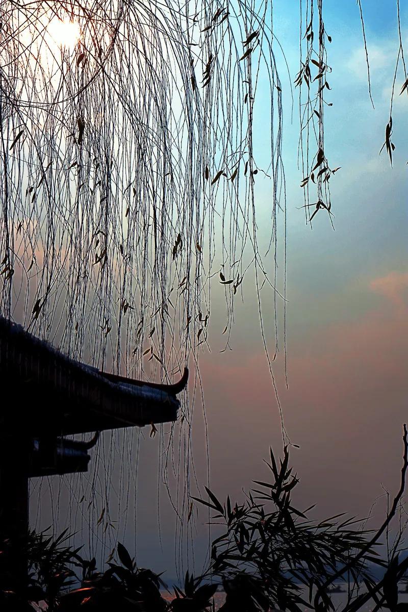 Recalling Wang Sun's "Autumn Ci" / Zhang Yi - iNEWS