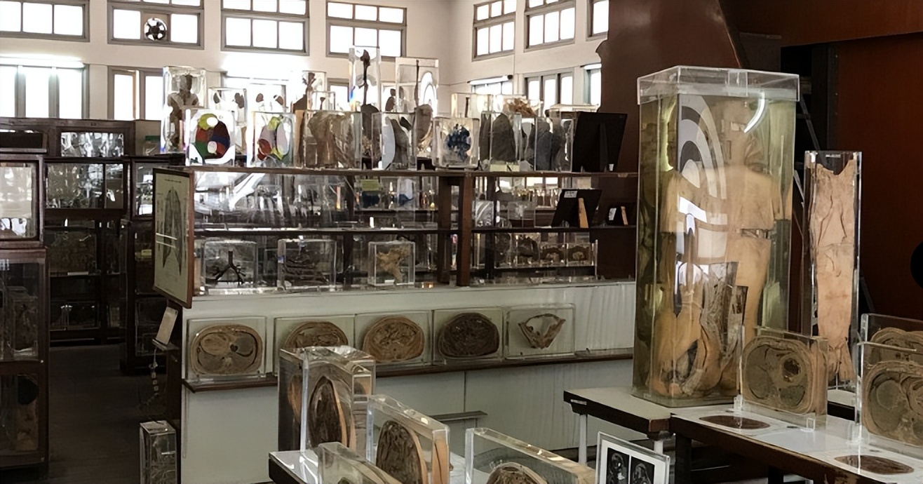 Called the world's most terrifying, Thailand's "Death Museum" exhibits ...