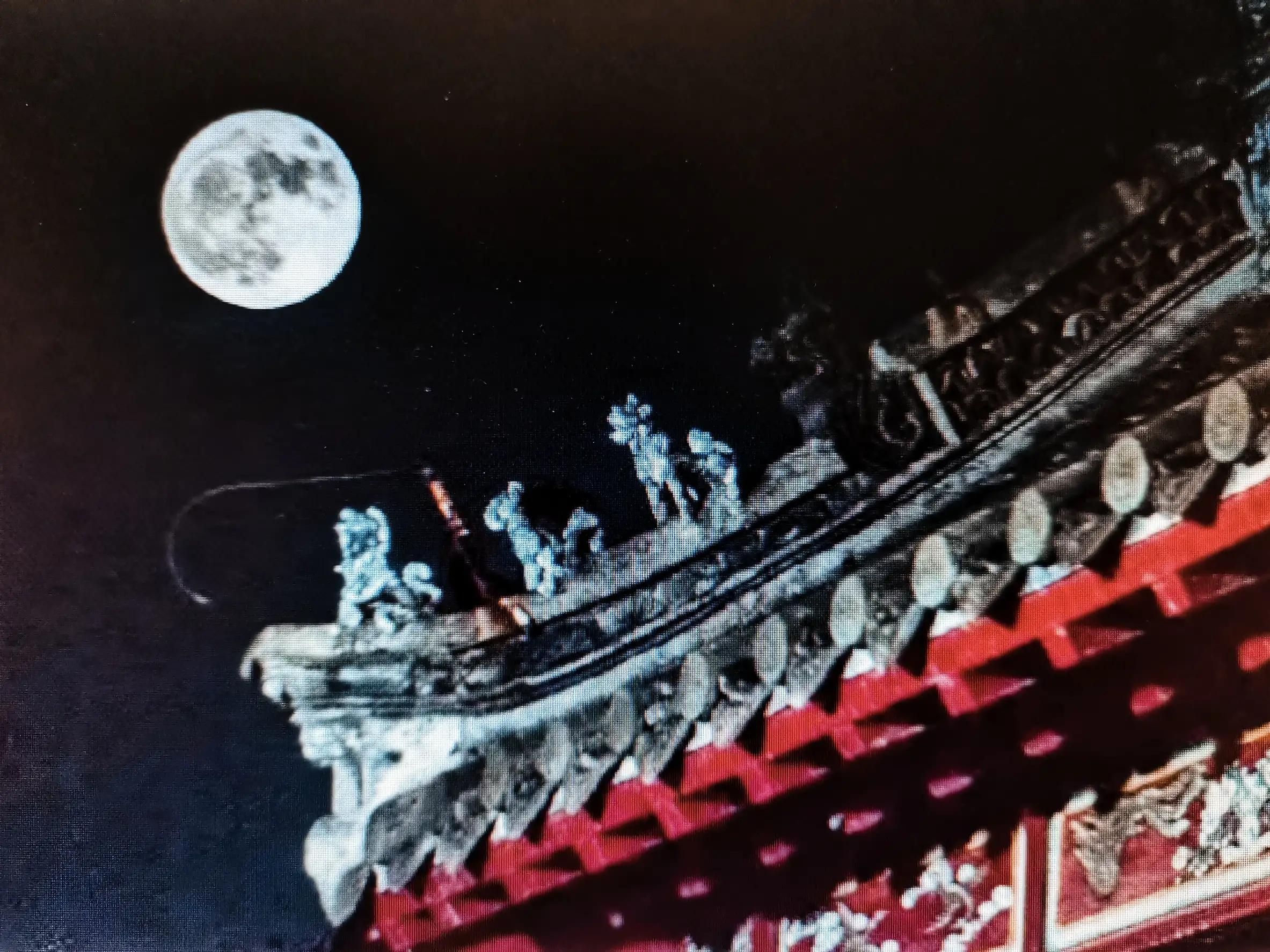 Poem Translation Song Ci: "Shuangtian Xiaojiao Mei" by Fan Chengda - iNEWS