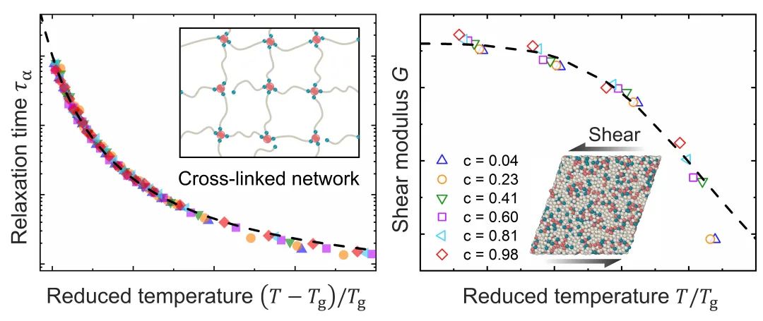 The physical mechanism of glass formation in cross-linked polymer ...