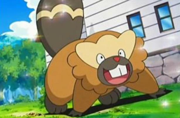 "Pokémon" DP re-enactment of the big tail raccoon, is not hot to ...