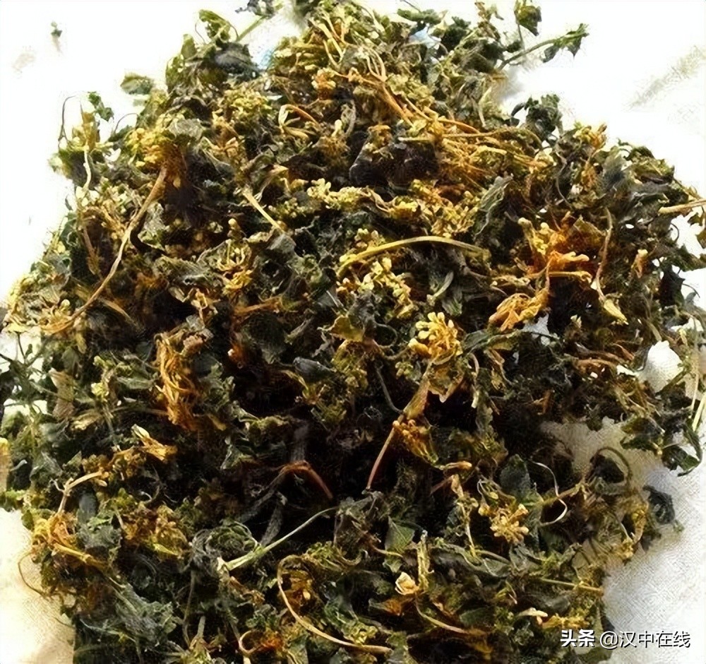 "National Geographical Indication Agricultural Products" - Zhenba tree ...