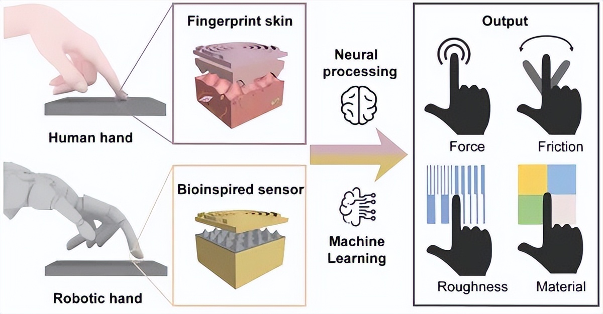 Mechanically robust, highly selective flexible mechanical sensors with ...