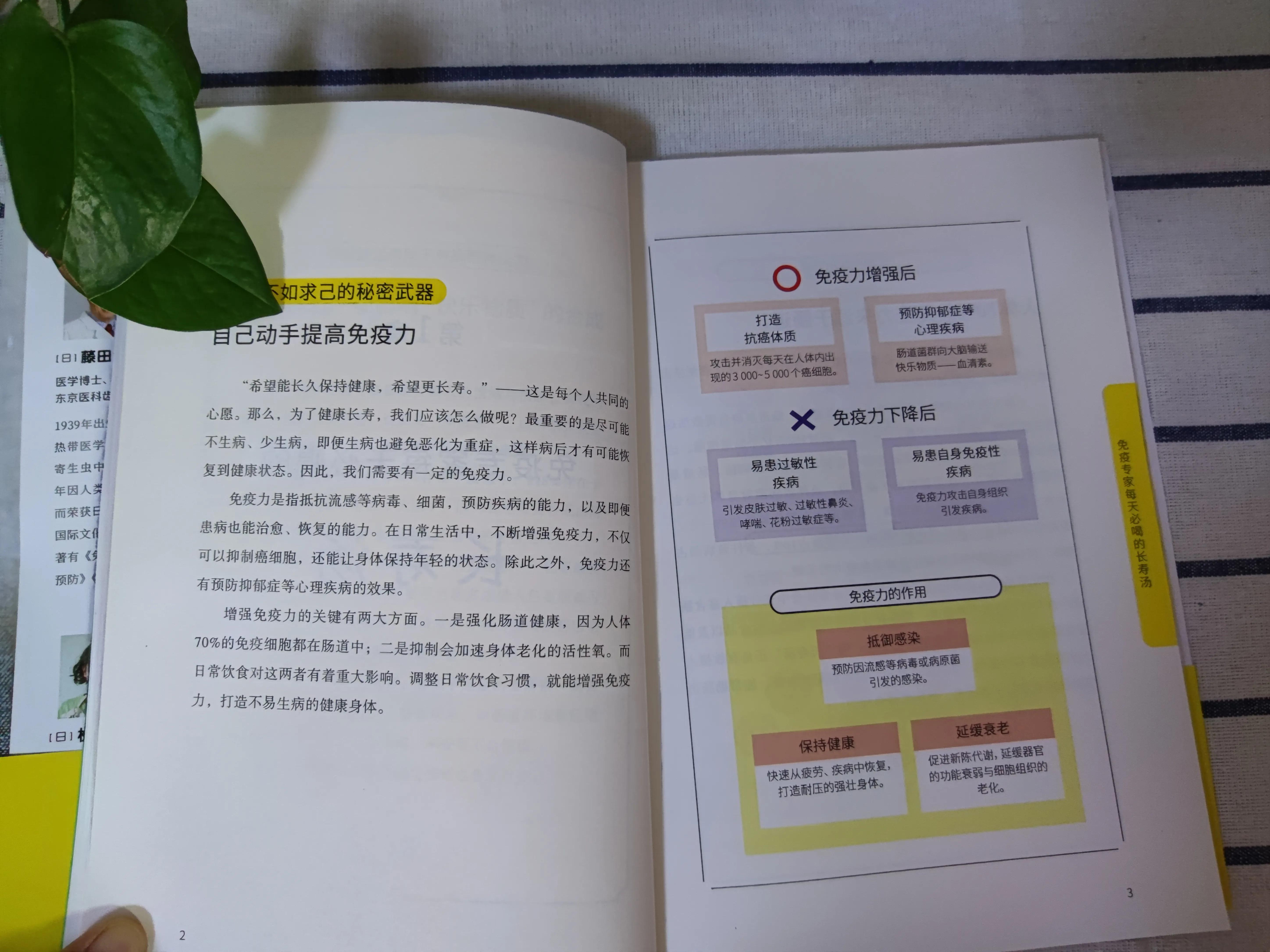 In order to be healthy, intestinal immunity is indispensable - iNEWS