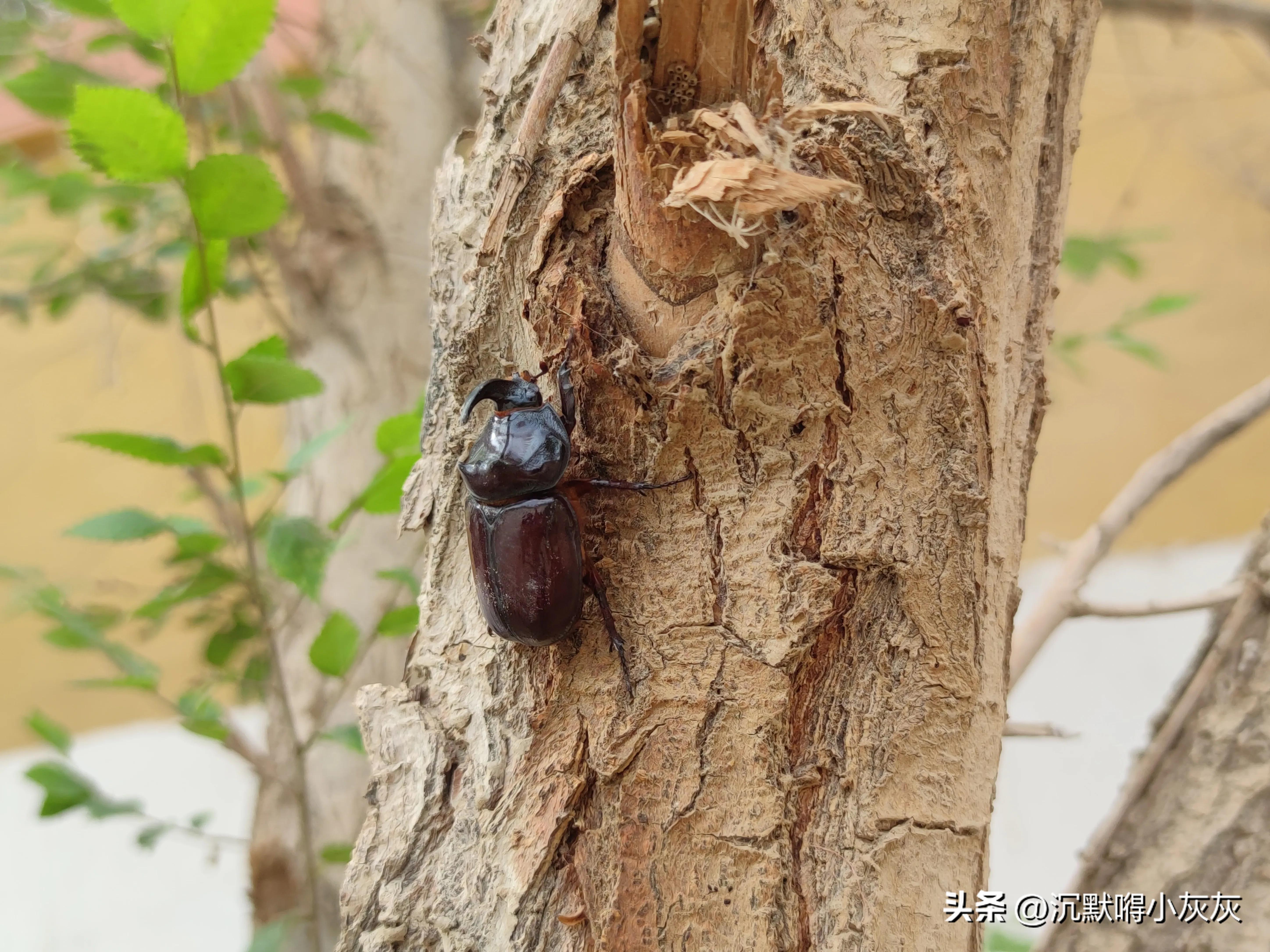 D287 Funds are burning - iNEWS