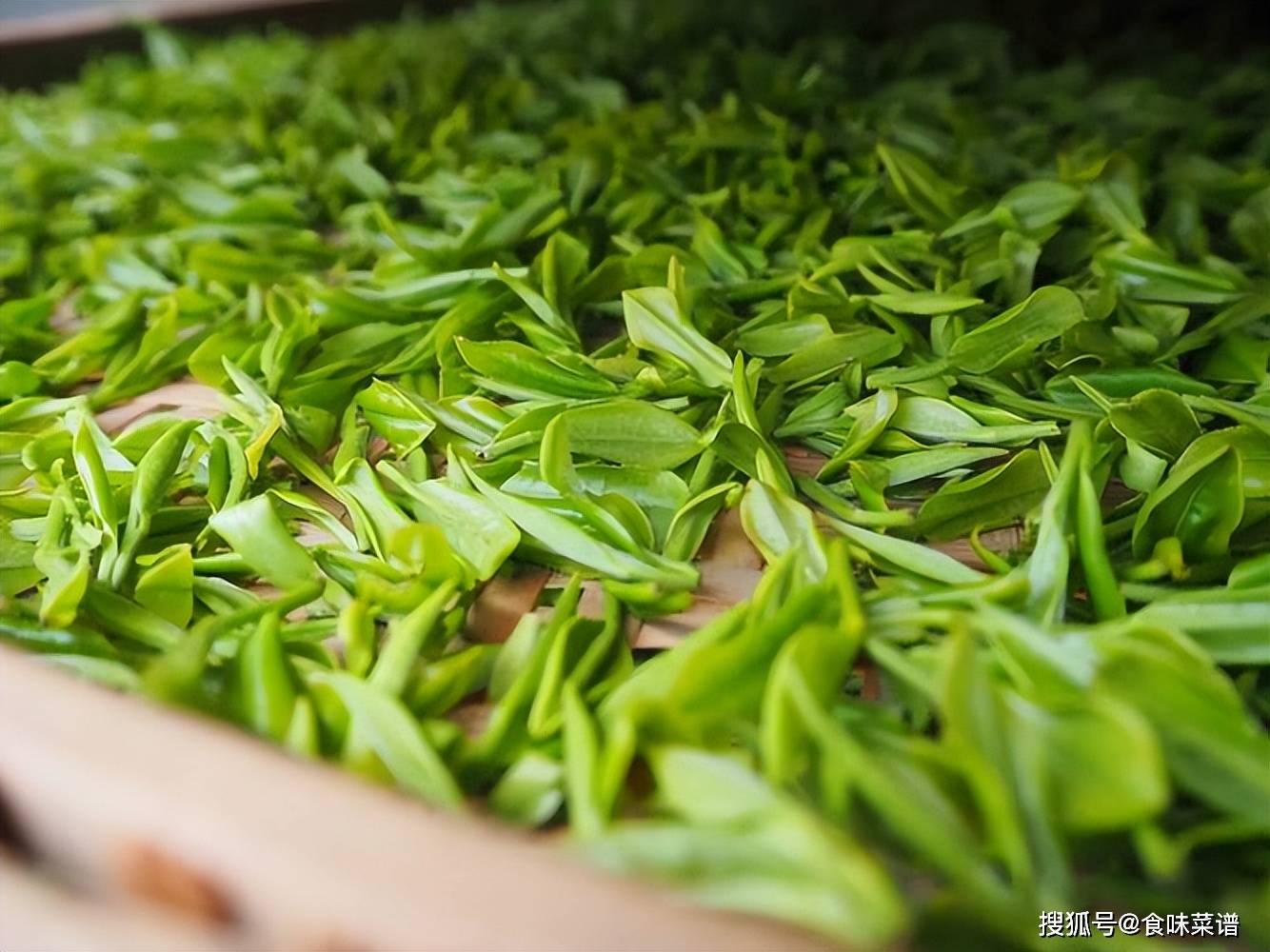 Ranking list of China's top ten green teas, with high aroma and strong ...