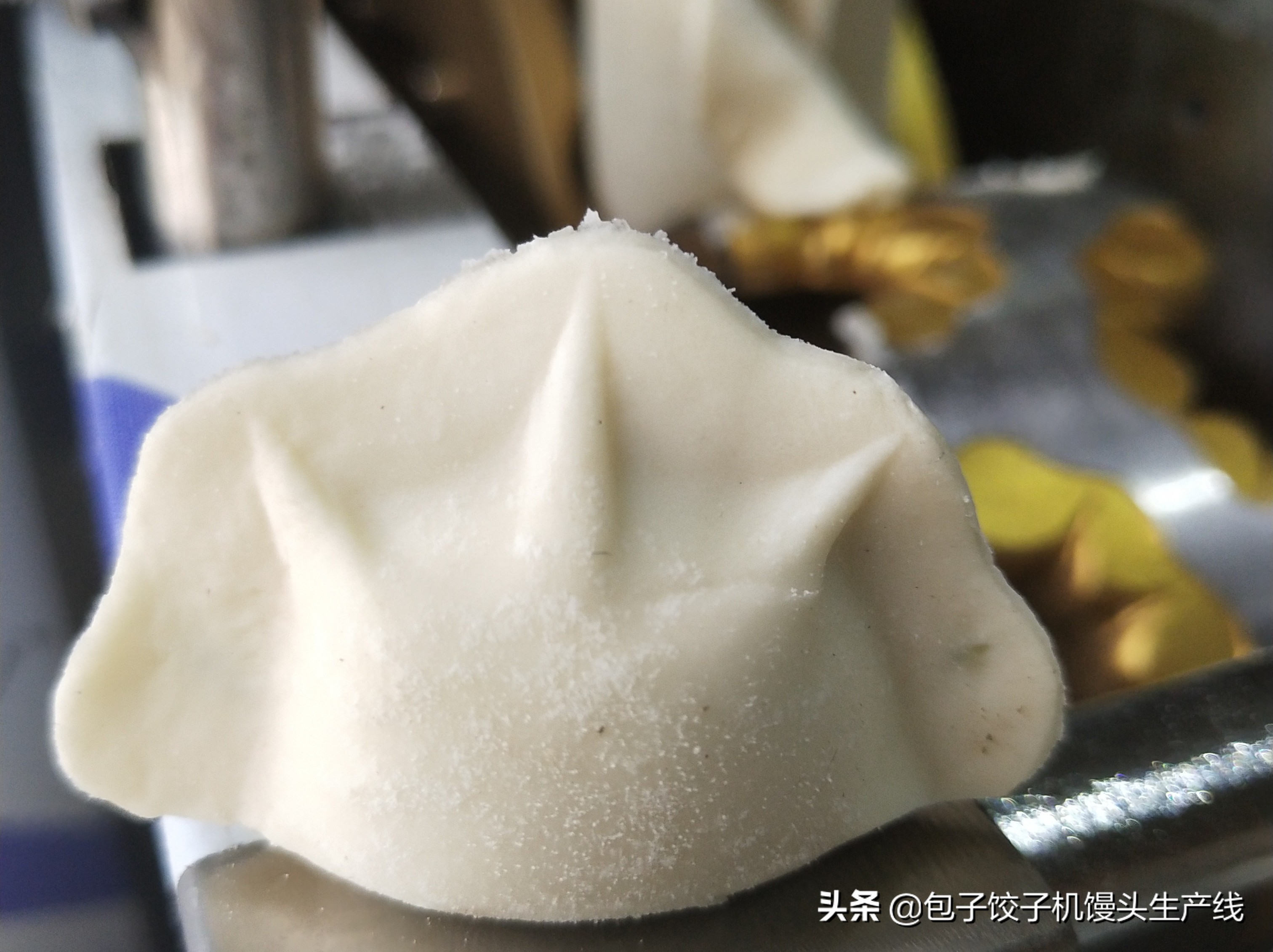 The cute little dumplings are made by machines - iNEWS