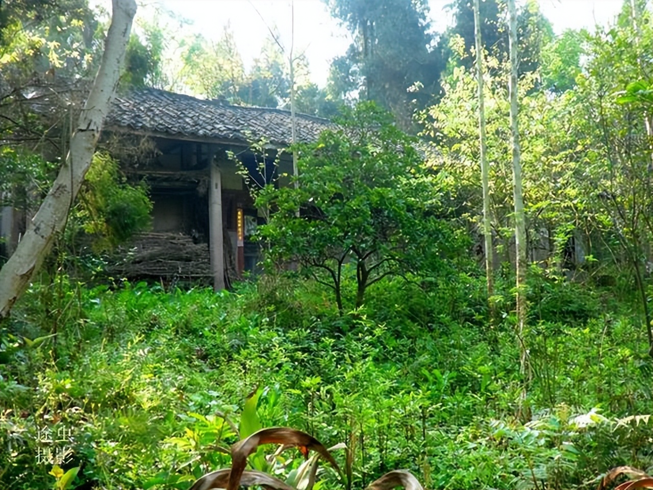 The once bustling village is now deserted. What happened here? - iNEWS