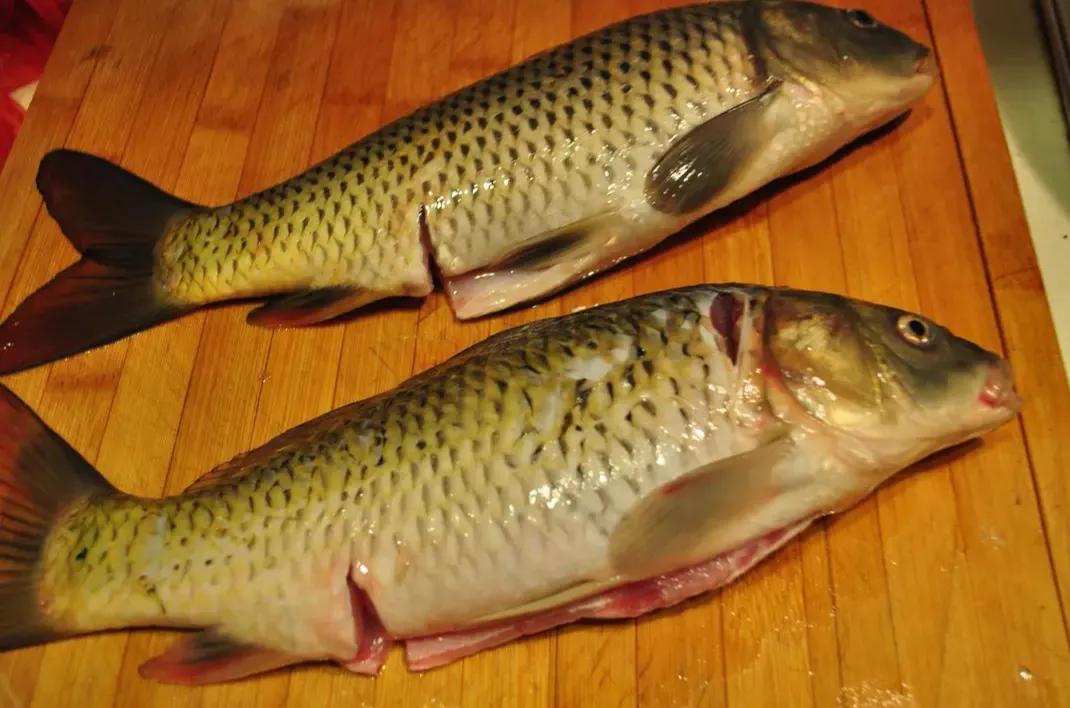 On the ranking list of these 6 "freshwater fish purines", crucian carp ...