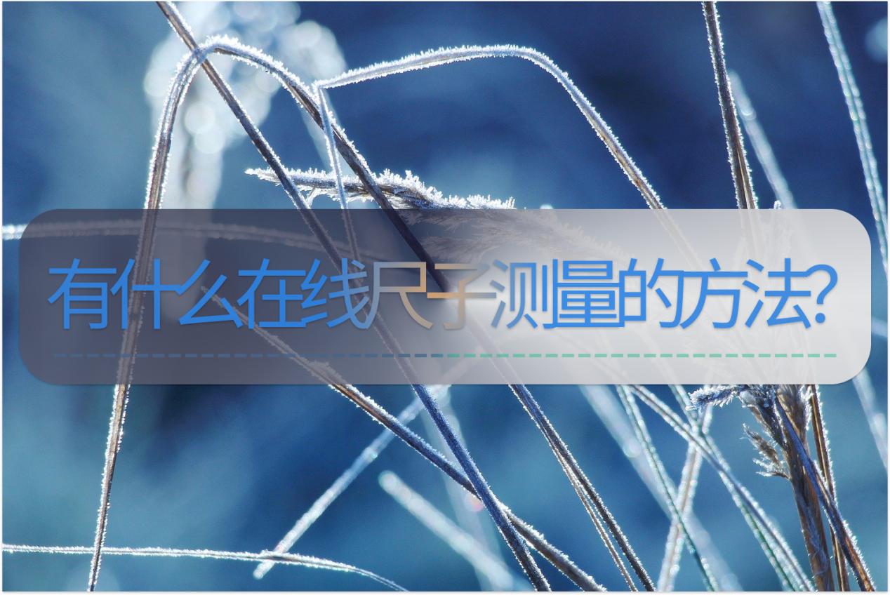 Is there any way to measure with an online ruler? understand this ...